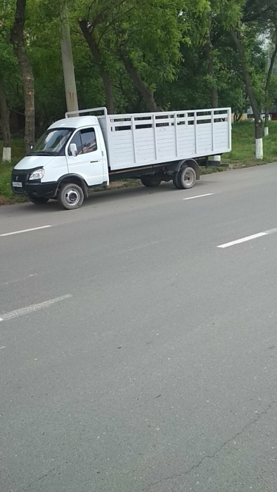 Грузоперевозки 5- метровый газел
