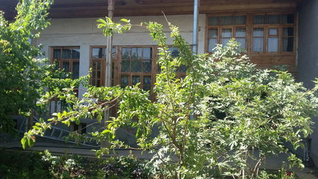 Olmazor moyqorĝon xovli sotiladi