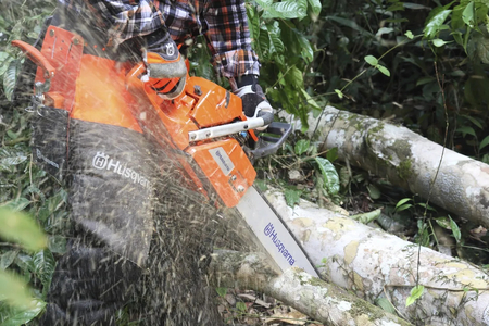 Бензопила Husqvarna 365