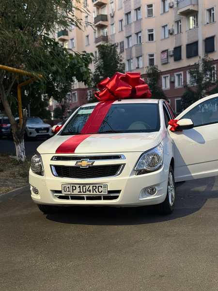 Подарочный бантик на машину, Автобант