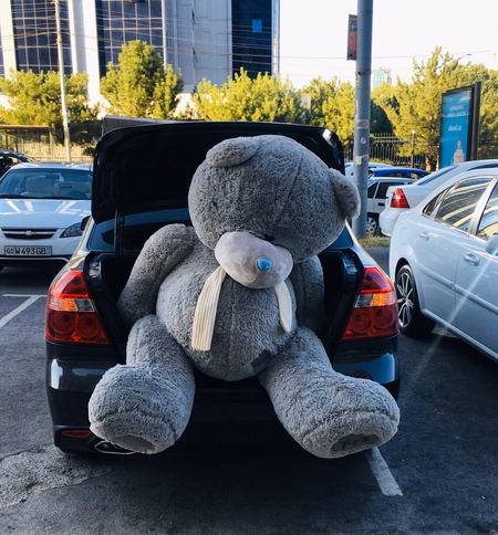 Teddi 1+1 Teddy Teddiy Tedi Теддй Тедди Eng Arzon Narxda
