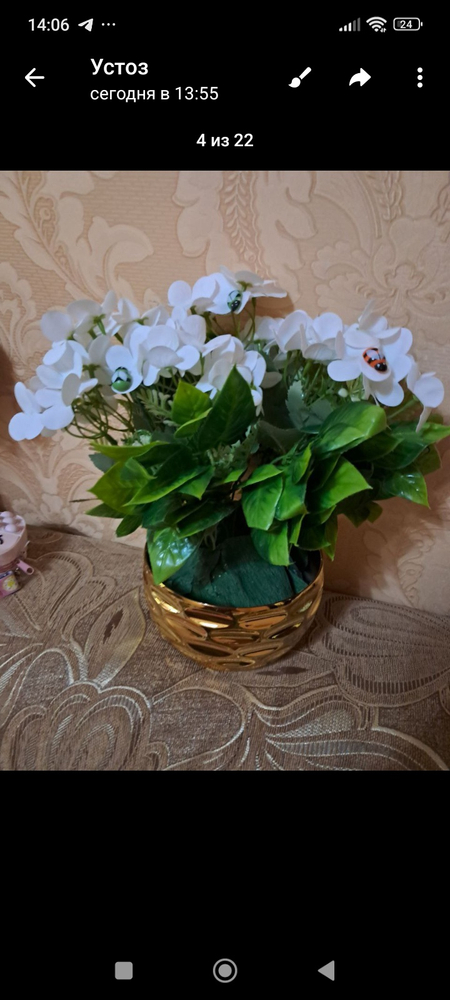 Совгалар учун гуллар