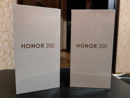 Honor 200 8/256 GB