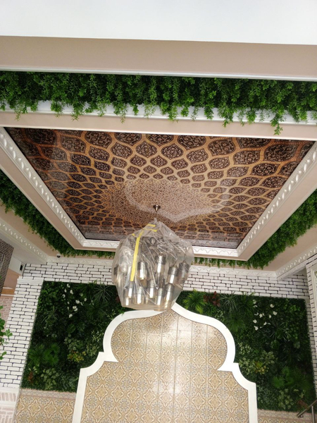 Natijnoy patolok Tashkent