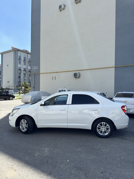 Cobalt GX-Style Plus AT