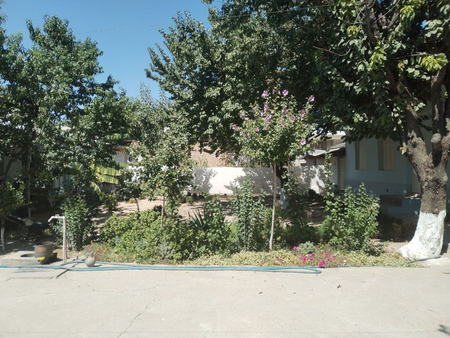 Xasanbohda yer sotiladi