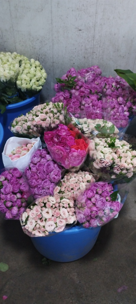 Gul , buket, savat, sovgʻa,