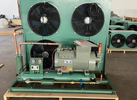 Bitzer ,BF ,DMZL