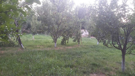Tovoqsoy sanatoriyga yaqn joydan 8 sotix yer sotiladi