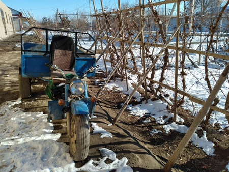 Самаделни муравей