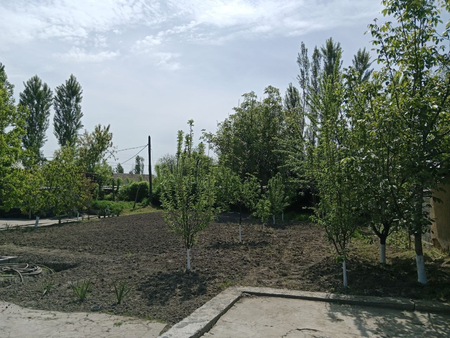 Quy chirchiq tumani tashaul