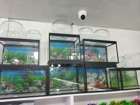Akvarium va baliqlar dõkoni Sergili tumanida