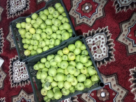 Almacha sotiladi yana bor