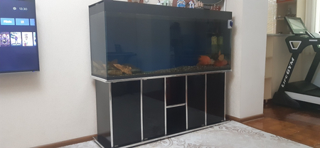 Аквариум с тумбой 500 л.