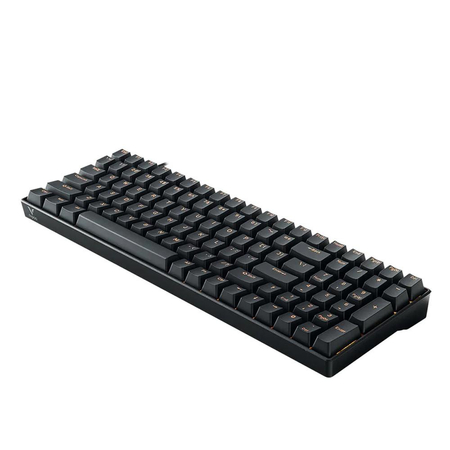 Rapoo V500PRO-100