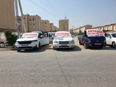 Kia carnival 2011