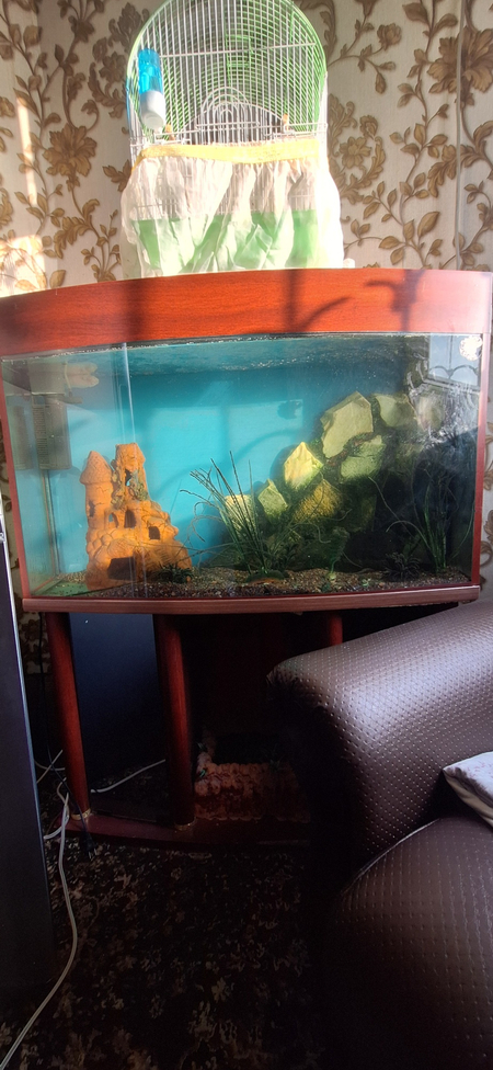 Akvarium sotiladi