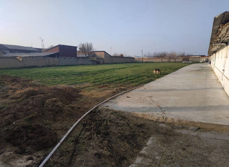 Toshkent tumani novoyida yer sotiladi 1sutugi 8500$min