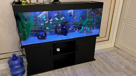 Akvarium tozalash xizmati