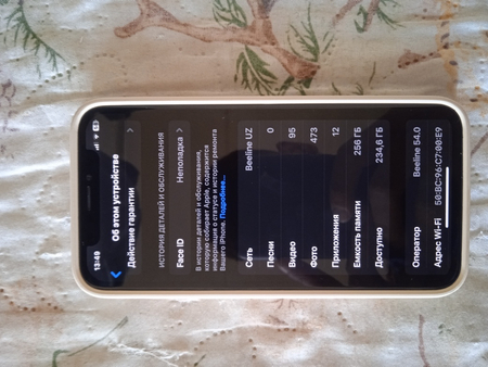 iPhone X 256gb norm sostayani