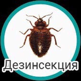Дезинфекция от насекомых и грызунов