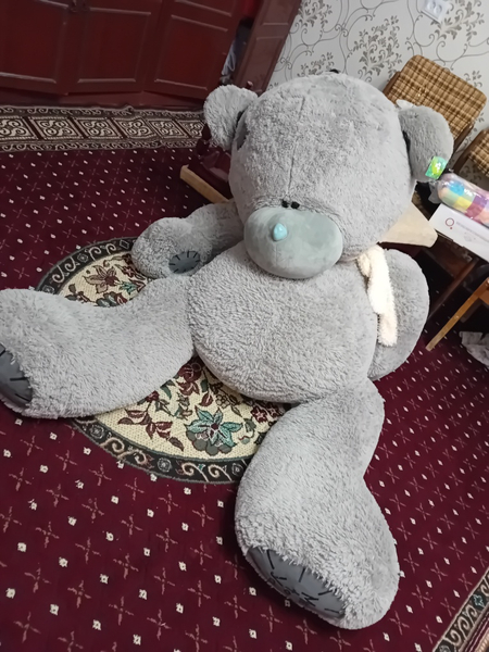 Yangi Teddy sotiladi