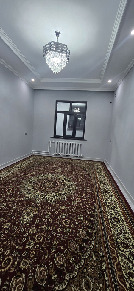 Аренда квартиры на Алгоритме