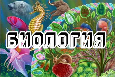 Репетитор по биологии/Джизак/ repetitor/ biologiya/Jizzax/ Кружок