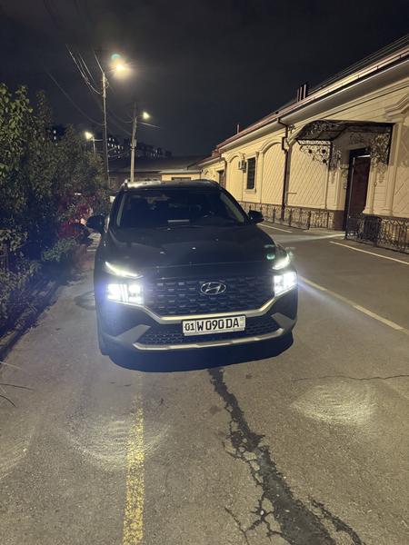 Hyundai Santafe 2022