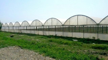 Хар хил улчамдаги иссикхона навестлар том куриш хизматлар Узбекистан