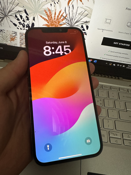 iPhone 12 Pro Max