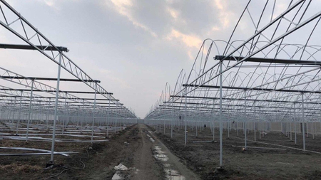 Китайская Теплица. Xitoy issiqxona. Langchin Greenhouse