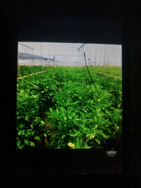Iphone 4 narxi 200ming bõlishi