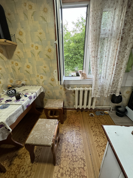 Продаю Спутник-3  2/1/2 в деревянном доме