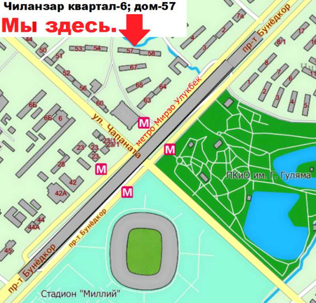 Фикус Бенджамина Пёстрого - комнатное и офисное растение.