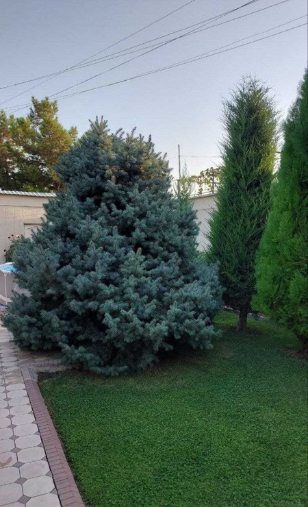 Продаётся Евродом Коробка на ул.Большая Мирабадская 2-соток (N 8992)