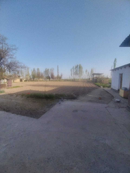 Toshkent viloyati oqqorgon tumani