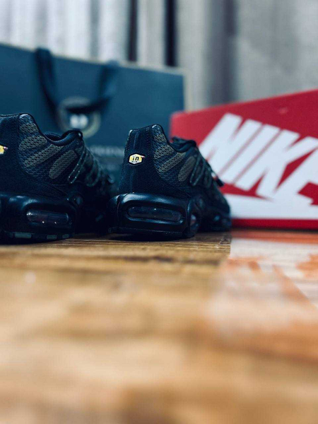 Nike Air Max Plus мужские кроссовки