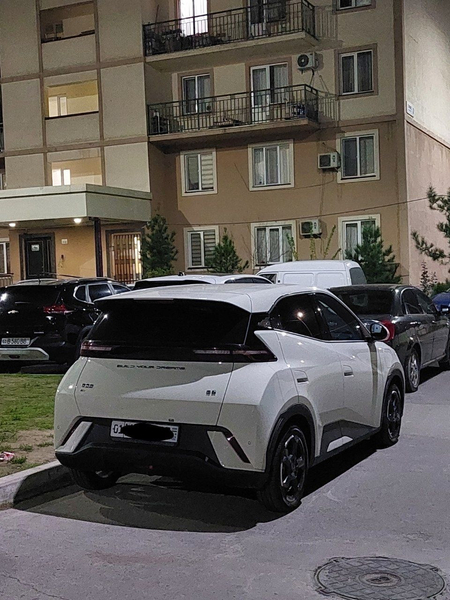 Byd seagull 405km