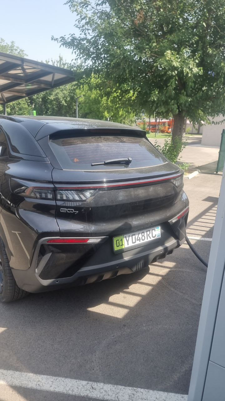 Tog'ga chorvoqga taksi xizmati