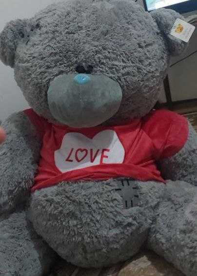 Teddyy- ayiqcha.
