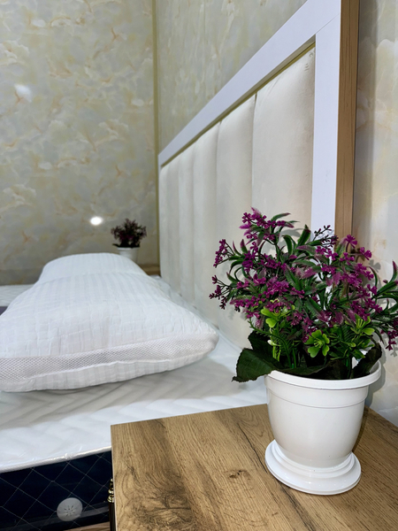 Елитный Новый Hotel Assa Яккасарай Айрапорт Только Паспорт Бек Загса.