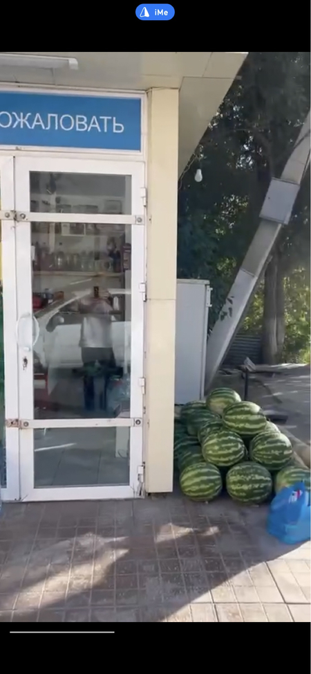 Бутка гатовый бизнес