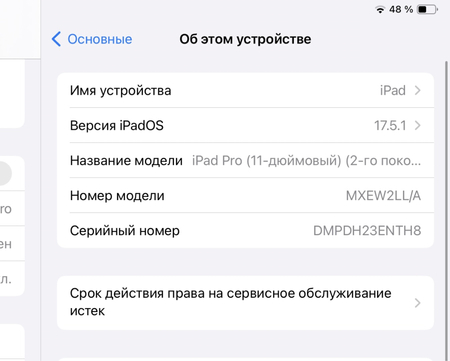 iPad Pro (11‑дюймовый) (2‑го поколения) 256гб