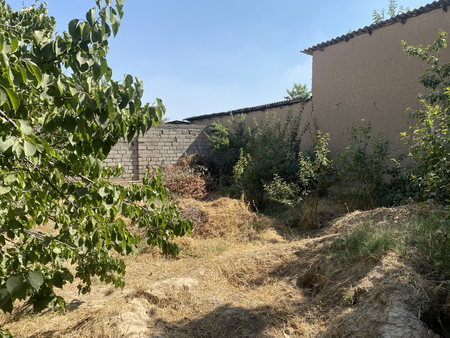 Qibrayda 6 sotix uchastka sotiladi yer hisobida