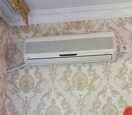 LG kanditsaner 12 B