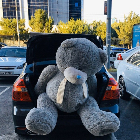 Teddi Teddy Teddiy yumshoq o'yinchoqlar eng arzon narxda