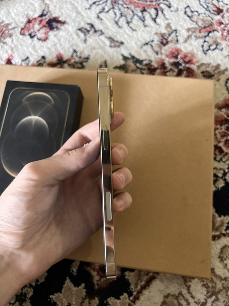 iPhone 12 pro max