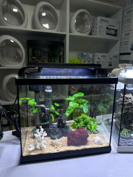 Akvarium xitoy new