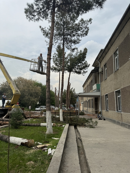 Eliktirpila xizmati